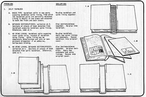 Book Repair 101 How To Repair A Broken Book Artofit