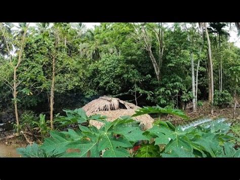 May bumisita sa kubo sa tabi ng ilog - YouTube