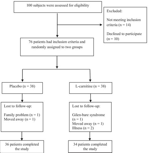 Flowchart Of Participant Eligibility Screening And Follow Up