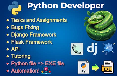 Do Python Code Python Script Automation By Zainmaqbool99 Fiverr
