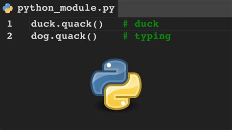 Introduction To Python Duck Typing 16 Youtube