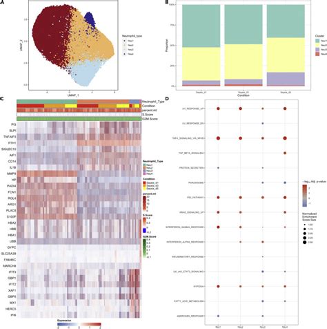 Single Cell Transcriptome Profiling Reveals Heterogeneous Neutrophils With Prognostic Values In