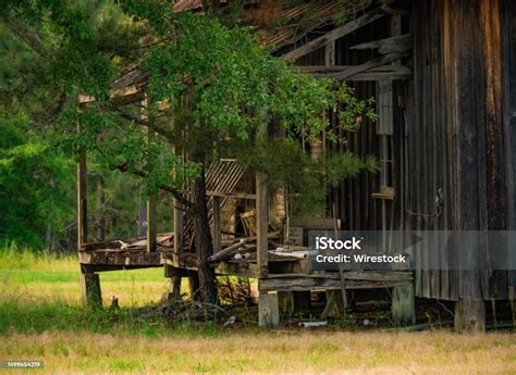 키 큰 나무로 둘러싸인 울창한 푸른 잔디 한가운데에 있는 시골 목조 주택입니다 0명에 대한 스톡 사진 및 기타 이미지 0명 고풍스런 나무 Istock