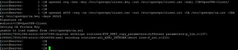 cara instal openvpn server di centos 7 pada server pt awan solusi