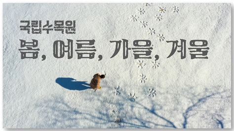 2분 힐링 4k영상 국립수목원 사계절의 풍경 Youtube