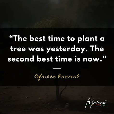 The Best Time To Plant A Tree Was Yesterday The Second Best Time Is Now