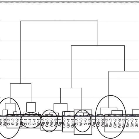The Dendrogram Produced By Hierarchical Cluster Anaysis Hca Using Download Scientific Diagram