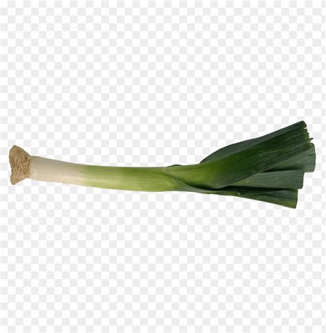 Leek Png Images With Transparent Backgrounds Image Id Toppng