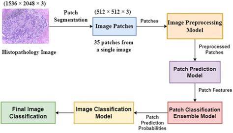 Diagnostics Free Full Text A Multi Stage Approach To Breast Cancer Classification Using