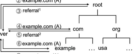 A Workflow Of The Dns Operation Download Scientific Diagram