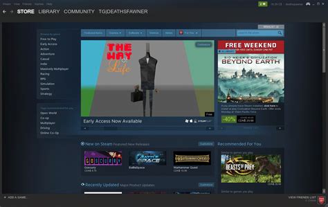 Steam Linux Mint Readpana