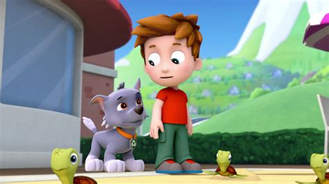 Watch Paw Patrol Season 1 Episode 2 Pups Save The Sea Turtles Pup And