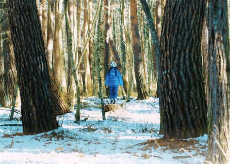 ‘evil Does Not Exist Review A Chilling Slow Burn About Capitalist