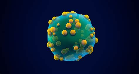 사람유두종바이러스hpv의 모든 것과 예방접종 정보