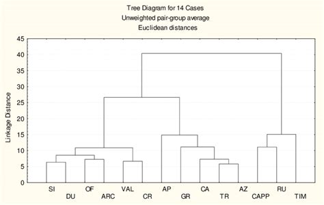 dendrogram tca showing the clustering based on morphological