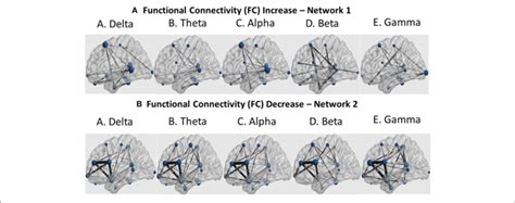 Sagittal View Of The Two Subnetworks Showing Either A Functional