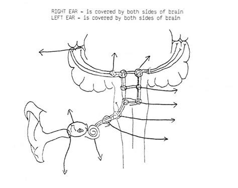 Neuro Exam 4 Diagram Quizlet