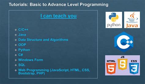 Teach Python Java Cpp C Sharp C Windows Form And Web Programming Tutor By Csguide Fiverr