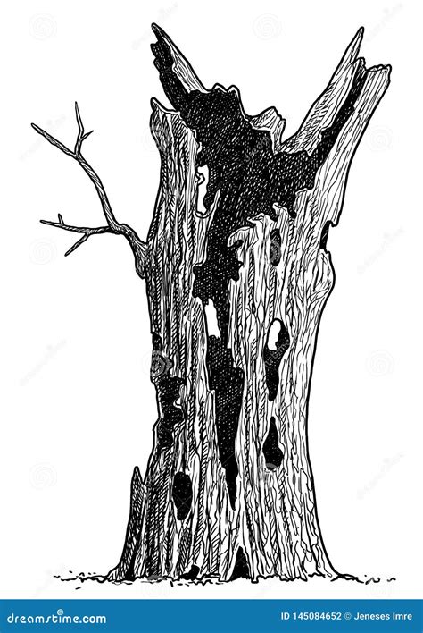 Dead Tree Illustration Drawing Engraving Ink Line Art Vector Stock