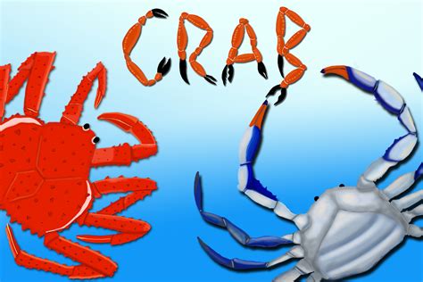 Crustaceans Drawing