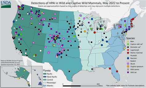 hpai detections in mammals
