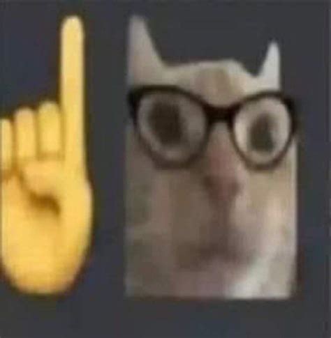 Nerd Cat Cat Memes Memes Silly Cats
