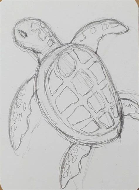 How To Draw A Sea Turtle Easy Art Tutorial In 2025 Turtle Drawing