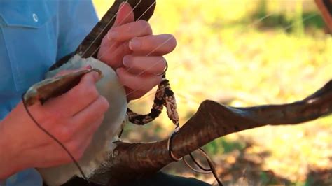 Hermes Turtle Shell Lyre