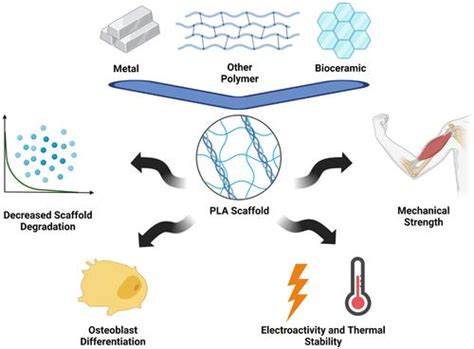 聚乳酸在骨组织工程中的应用：综述文章 Artificial Organs X Mol