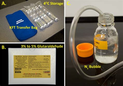 Adjustments Made In Composition And Handling Of Fixative During Pvt Download Scientific