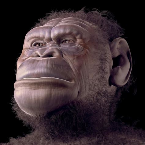Ator Australopithecus Sediba