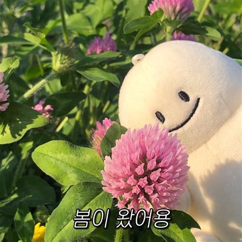 판다스pandas 세션 1 판다스 기본 데이터 구조 데이터 확인 방법 — Narchive