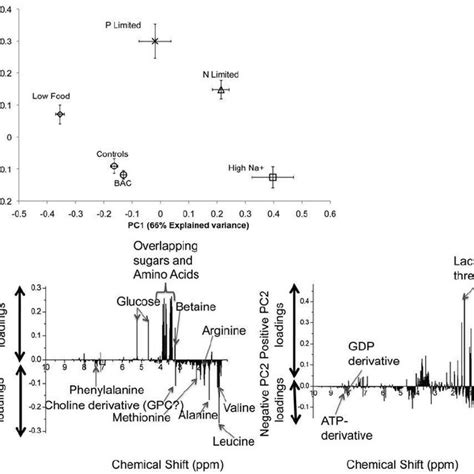 A Principal Component Analysis Pca Score Plot Of Mean 1 H Nmr