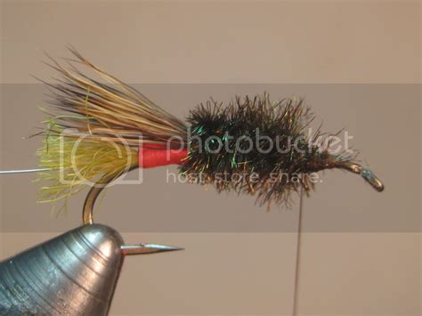 Holy Grail Nymph Sbs Step By Step Patterns Tutorials Artofit