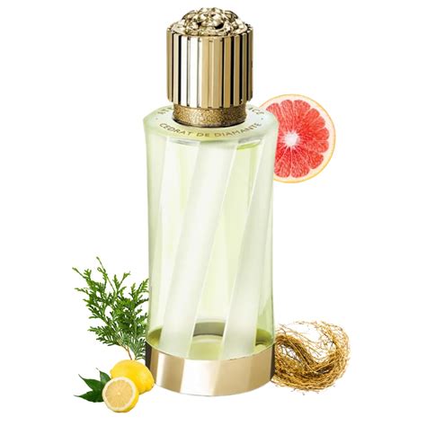 Experience Pure Radiance The Magic Of Versace Cedrat De Diamante