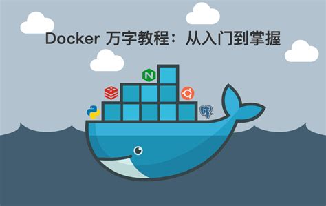 docker 万字教程：从入门到掌握 程序员充电站