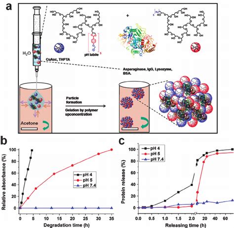 A Reverse Nanoprecipitation Process For Nanogel Formation Injection