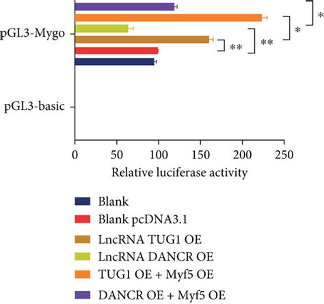 Lncrna Tug1 And Dancr Regulate Myog Expression Via Modifying Nuclear