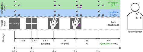 Paradigm Of The Experiment Trial For Dataset 1 20 Top Row Of The