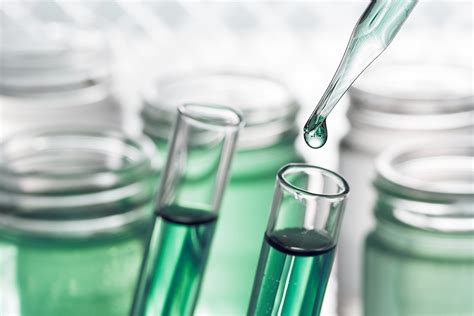 Phytogenics The Future In Animal Nutrition Delacon