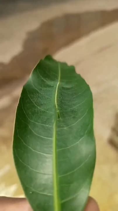 Amey Sawant Posted On Linkedin