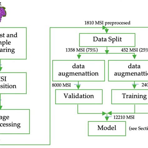 Flow Diagram For The Acquisition And Data Augmentation Processes