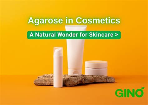 Understanding The Roles Of Agar In Microbiology