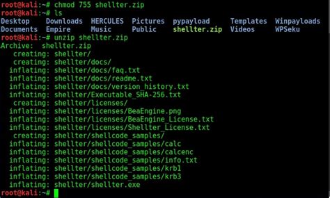 how to install shellter in kali linux hackercool magazine