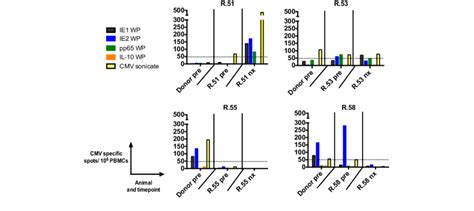 Cmv Specific T Lymphocyte Responses As Measured By Ifn C Elispot