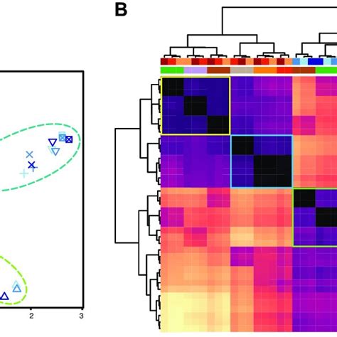 Global Patterns Of Gene Expression Across Eight Vascular Plants Download Scientific Diagram