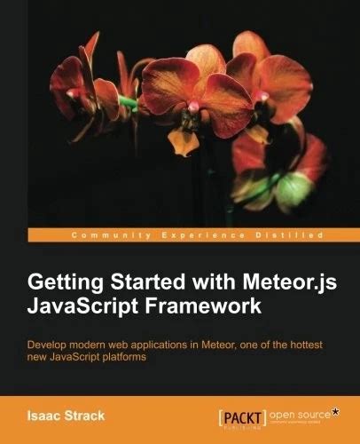 Getting Started With Meteorjs Javascript Framework By Isaac Strack £2176 Picclick Uk