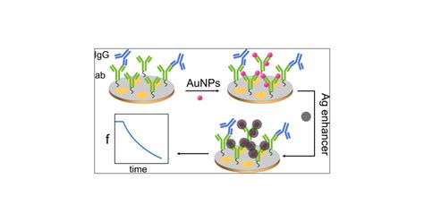 An Unconventional Immunosensor For Biomolecule Detection Via