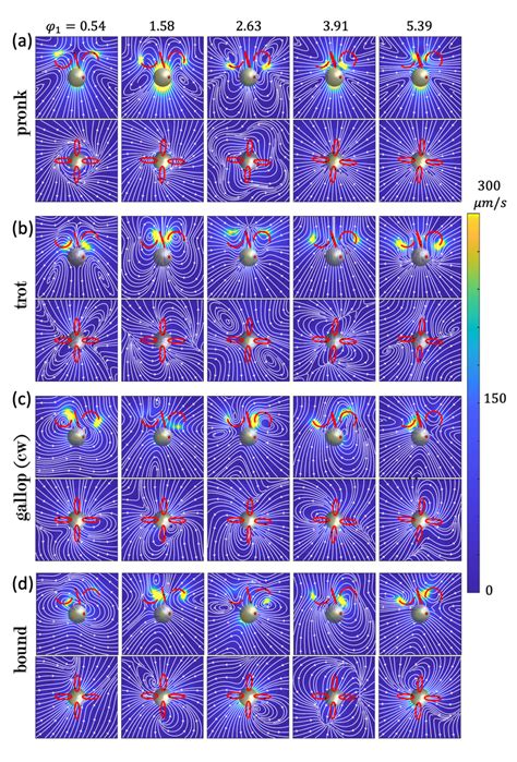 time dependent flow fields around a quadriflagellate microswimmer