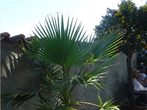 4 2 Structure And Function Nucleic Acids Introductory Biochemistry